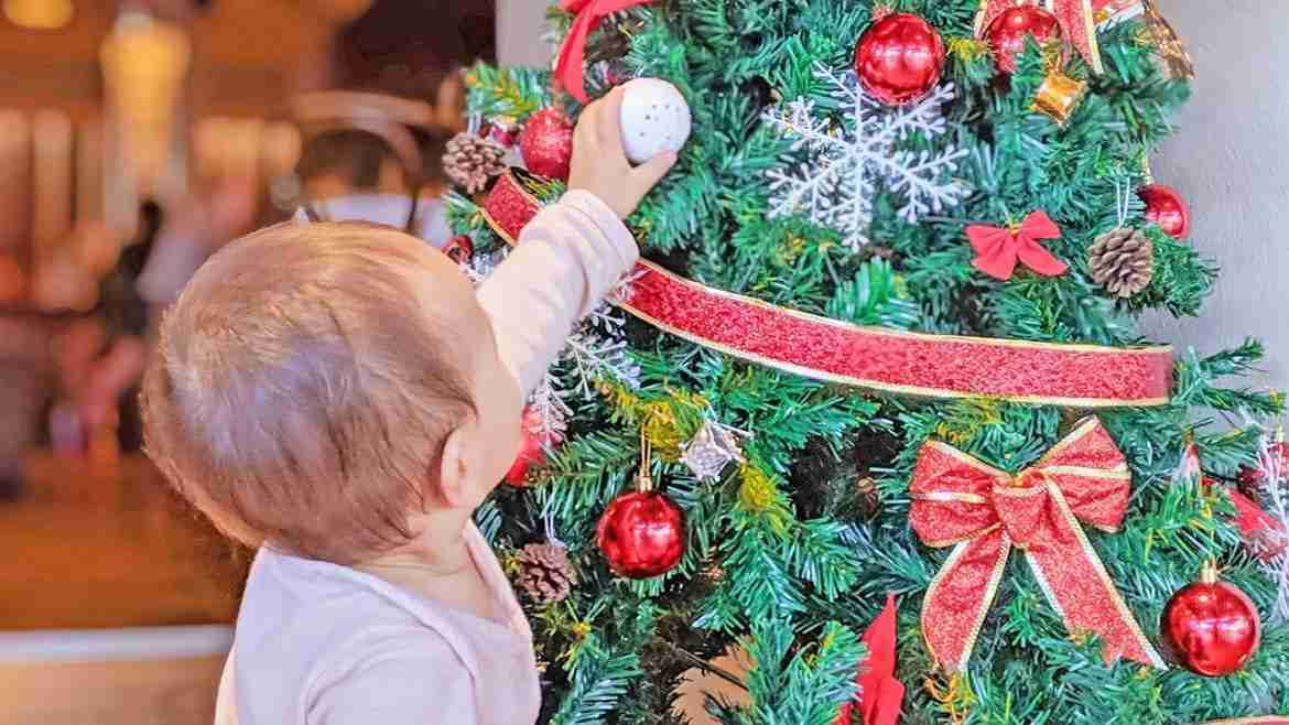 How To Celebrate Christmas In Auckland NZ - Top 13 Events